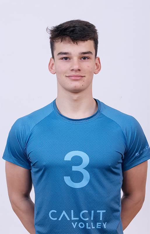BLAŽEVIČ LUKA - Calcit Volley