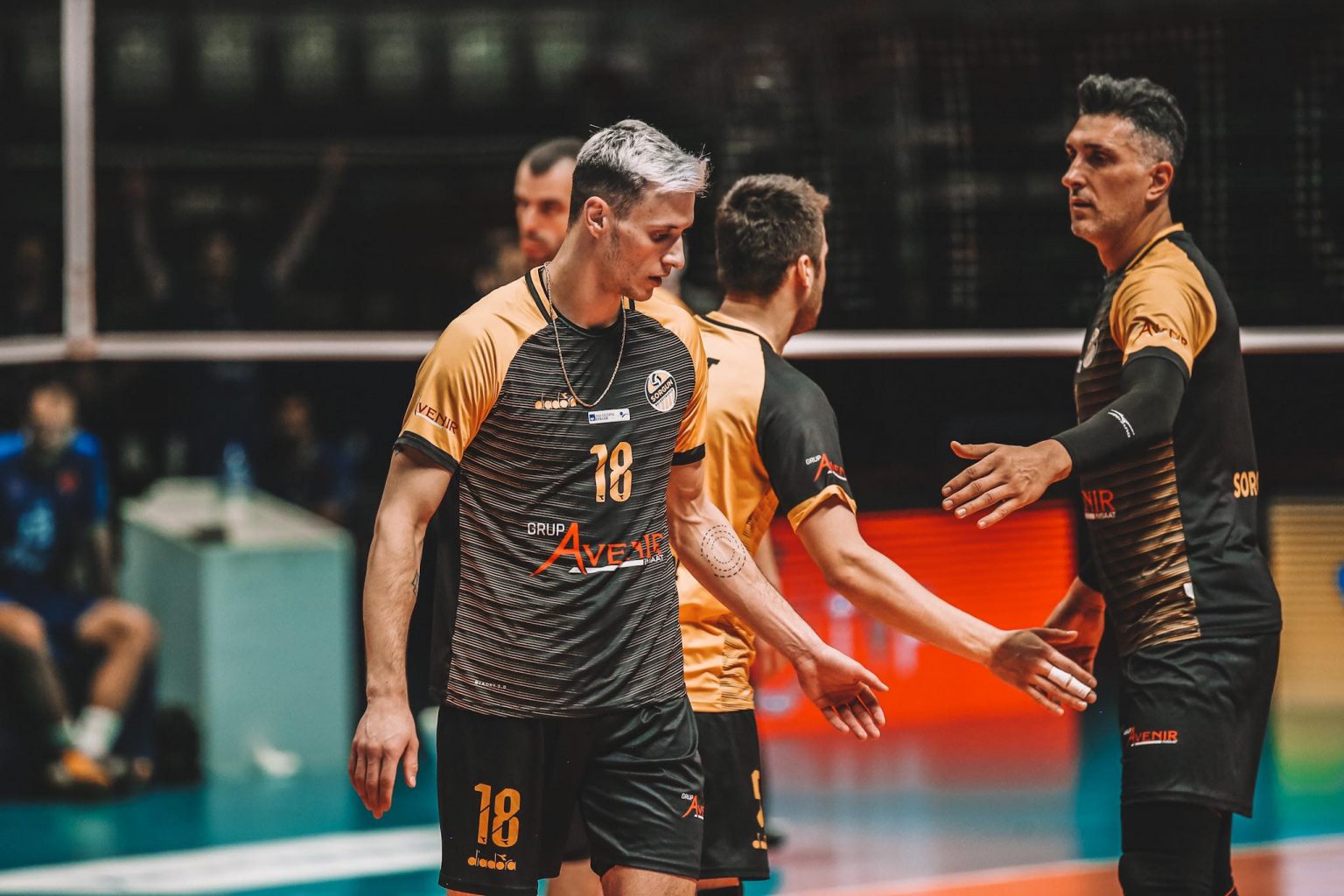 Eva Mori spet za Calcit Volley, novinec tudi Danilo Pavlović - Calcit ...